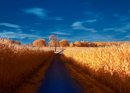 Xintra - NextJs App-Router Admin & Dashboard Template